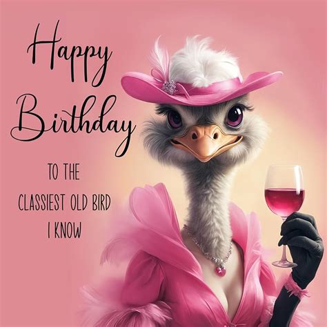 Funny Birthday Wishes For Women Funny Woman Birthday Cards Funny