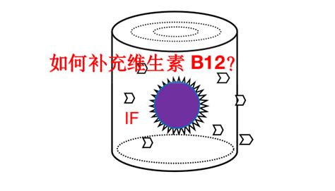 补充维生素b12，是吃药还是打针？ 知乎