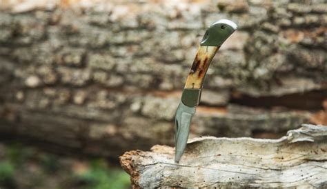 Premium Photo Forest Sharp Knife In Pine Tree