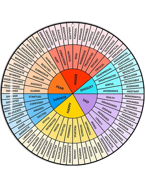 Vrocuse Feelings Wheel Large 12 Inch Acrylic Emotion Wheel Chart