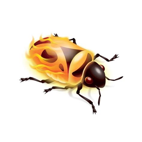 Edevaldo Orozco On Linkedin How To Use Firefox Firebug To Help You