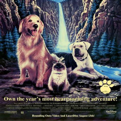 Homeward Bound The Incredible Journey Poster