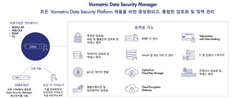 보메트릭 데이터 시큐리티 매니저 Thales