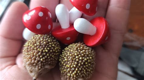 Temu დან გამოწერილი იაფადიანი ნივთების განხილვა რა გამოვიწერე რა ჩამოვიდა Youtube