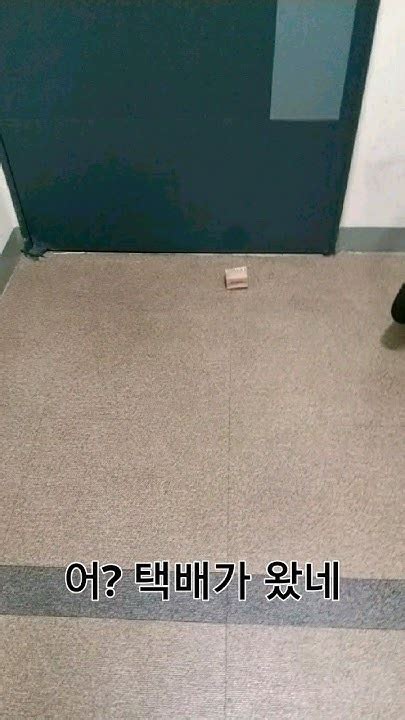 포켓몬빵 따니네 만들기 Youtube