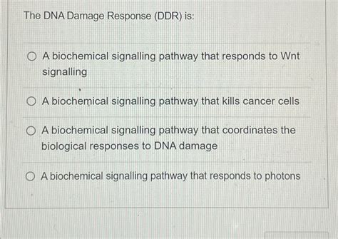Solved The DNA Damage Response DDR Is A Biochemical Chegg Com