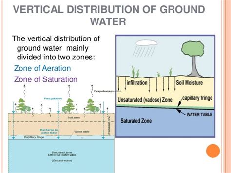 Vertical Distribution Of Groundwater