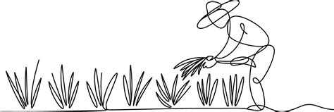 Farmer In Hat Harvesting Crops In A Field Single Line Drawing 73629854