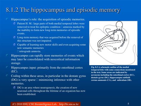 Ppt 8 Recurrent Associative Networks And Episodic Memory Powerpoint Presentation Id9466893