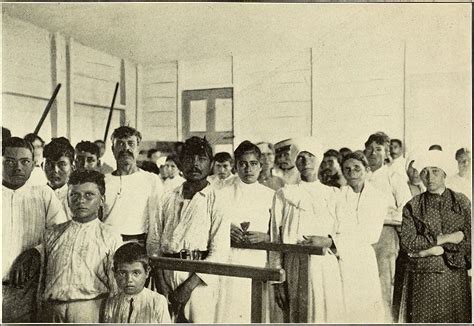 Choice Sterilization And Eugenics In Twentieth Century Puerto Rico