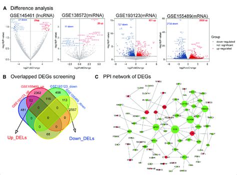 Differential Analysis Of Lncrna Mirna Mrna Mrna Crossover Genes And Download Scientific