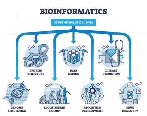 Bioinformatics For Genetics And Genomic Analytics Outline Hands Concept Vectormine