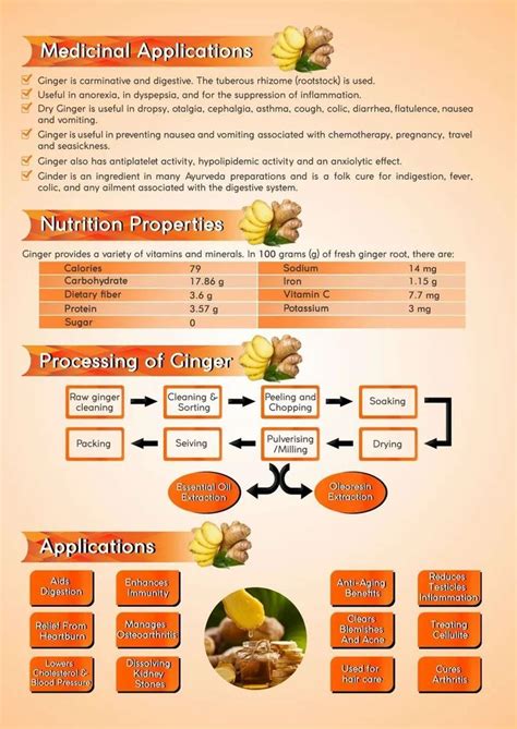 Ginger Extract At Best Price In Sikandrabad By Sunpure Extracts Private Limited Id 2854506858497