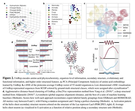 Unsupervised Rational Protein Engineering With Sequence Only Deep Representation Learning Deep