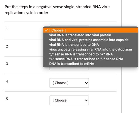 Solved Put The Steps In A Negative Sense Single Stranded Rna Virus Replication Cycle In Order