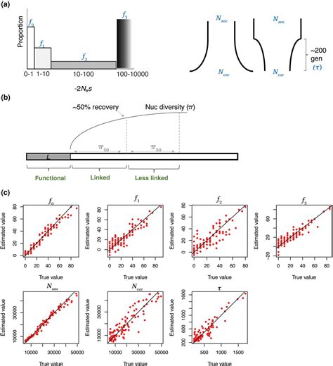Figure 1 From Developing An Evolutionary Baseline Model For Humans