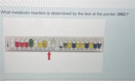 Solved Which Of These API E Test Strips Contains A Lactose Chegg Com