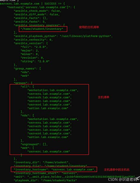Ansible的setup模块和facts变量及magic变量ansible Setup Csdn博客