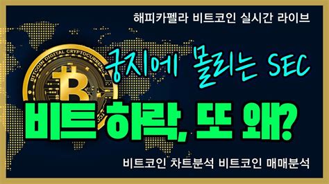 비트코인 실시간 비트는 다시 하락 왜 궁지에 몰리는 Sec 6월 14일 아침💎 비트코인 비트코인실시간 이더리움 차트