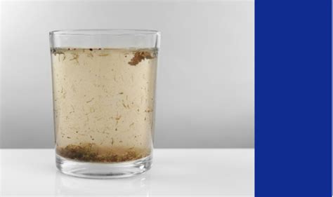 Copper As A Contamination In Drinking Water Olympian Water Testing Llc