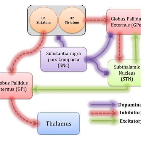 The Interfaces Uni I Nni E Nni Download Scientific Diagram