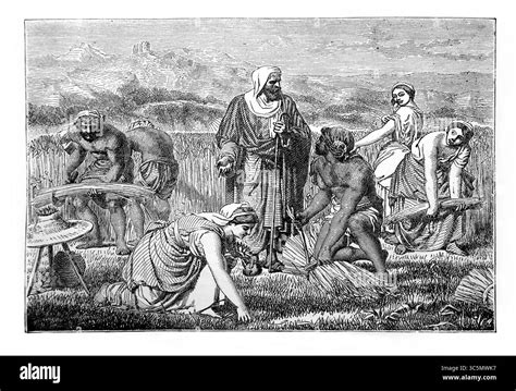 Illustration Of Boaz Telling His Men To Let Ruth Continue Gleaning In