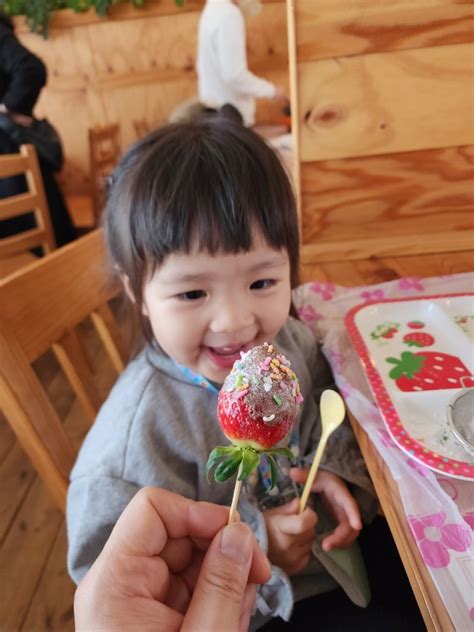 [꽃보다 딸기] 딸기체험의 계절 네이버 블로그