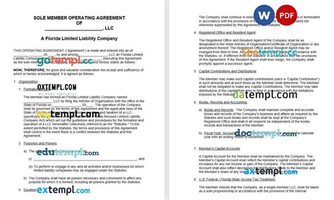 Florida Single Member Llc Operating Agreement Word Example Fully Editable
