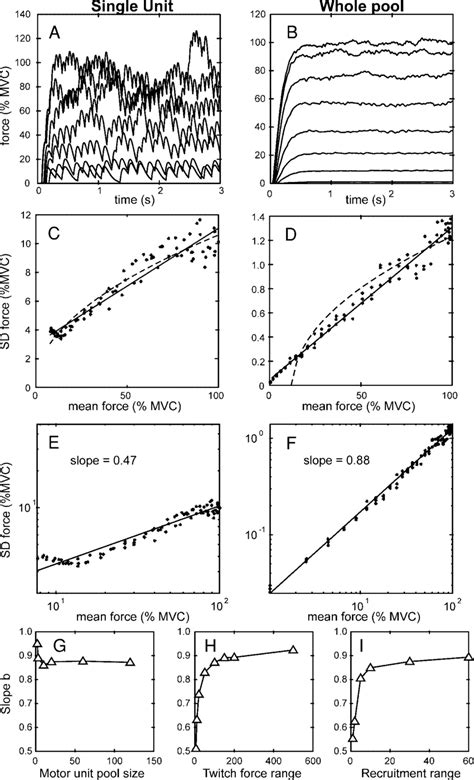 Force Output Variability From The Model A Simulations Are Illustrated Download Scientific