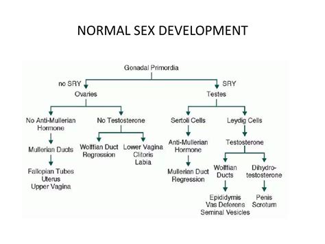 Approach To Disodred Of Sexual Development PPTX