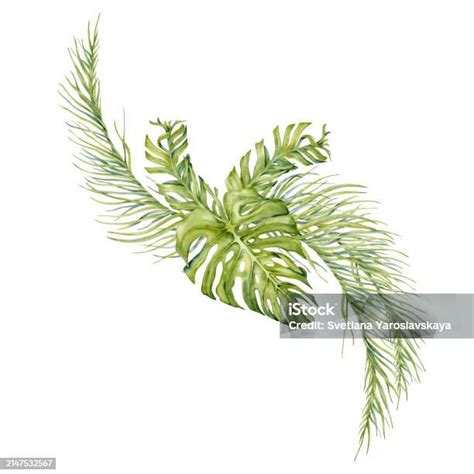 바나나와 레몬 나무 열대 잎 구성 몬스테라와 야자수 가지 흰색 배경에 고립된 수채화 그림입니다 해변 테마 카드를 위한 이국적인 일반 식물 디자인 요소 0명에 대한 스톡 벡터