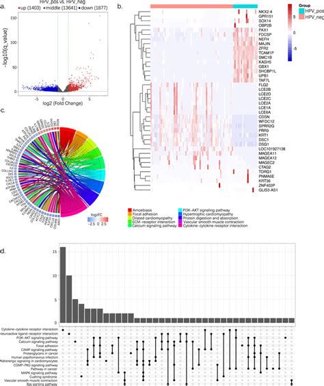 Bulk Cell Analysis Reveals Differentially Expressed Genes And The