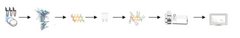 Comprehensive Glycosylation Analysis Service Mtoz Biolabs