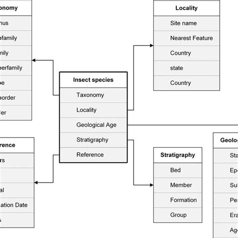 The Data Structure Of Insect Species Name Dataset Of The Download Scientific Diagram