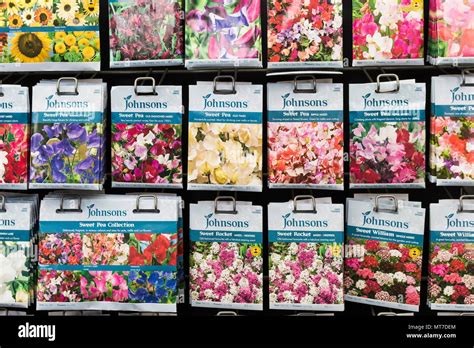Amazon Flower Seed Packets At Bailey Walters Blog