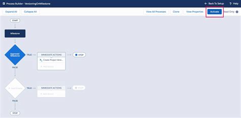 version service api versioning on milestone status certinia for