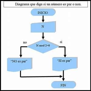 Algoritmos Cualitativos Y Cuantitativos