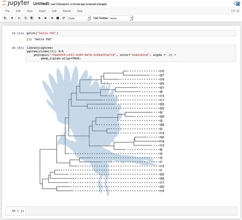 Jupyter Notebook