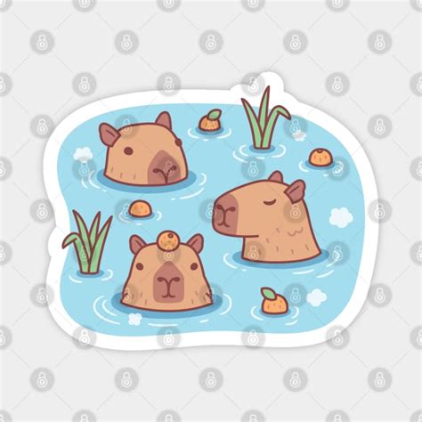 Cute Capybaras Chilling In Hot Spring With Oranges Capybara Magnet Teepublic