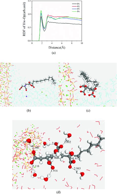 A Rdf Of The Oxygen Atoms In The −coo − Groups And The Hydrogen Atoms
