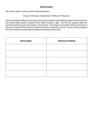 Aqa Gcse B10 The Human Nervous System L2 The Nervous System Teaching Resources