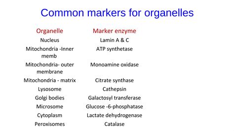 Subcellular Fractionation Ppt Biological Sciences Science