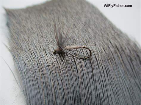 Hendrickson Mayfly Hatch Ephemerella Subvaria