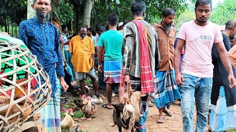 বৃষ্টিতে বাজার ডাউন। খুবই সস্তায় বিক্রি হয়ে গেলো দেশি হাঁস মুরগি। কাকরকান্ধির হাট ২০২৩ Youtube