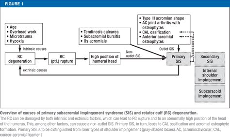 Figure 1 From Impingement Syndrome Of The Shoulder Semantic Scholar
