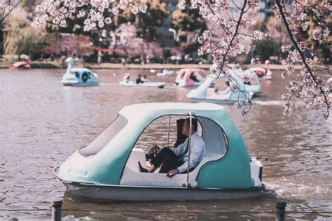 Aktivitas Seru Saat Musim Semi Di Jepang