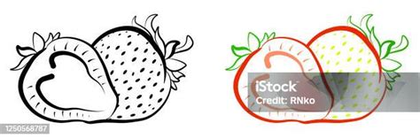 육즙이 잘 익은 딸기 전체와 빈 배경에 컷 어웨이 아이콘 여름 과일과 열매 채식주의 비타민 건강한 라이프 스타일 흰색에 격리된 벡터 0명에 대한 스톡 벡터 아트 및 기타