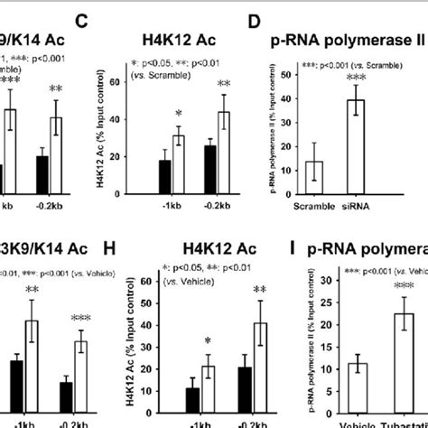 Runx2 Expression Activation In Response To Hdac6 Inhibition In Bmscs