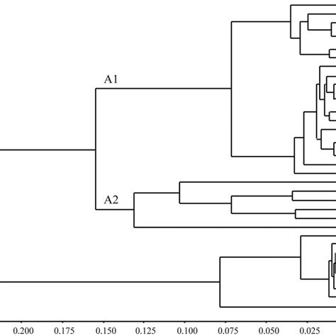 Unsupervised Hierarchical Clustering Of Samples Based On The