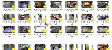 【视频打架行为数据集】打斗场景视频数据集简要介绍打架数据集 Csdn博客